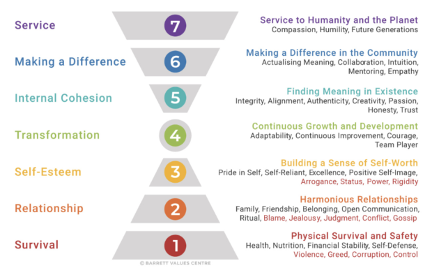 Book Review: The Values-Driven Organization (Barrett) - Garth Nichols